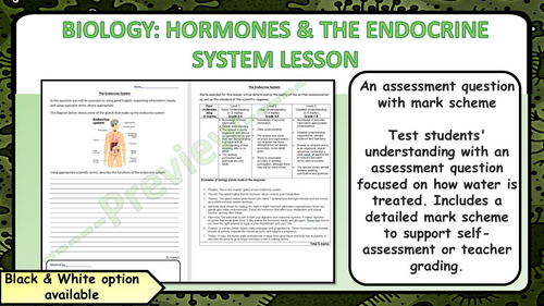 AQA GCSE Biology (Science) The Human Endocrine System Lesson | Teaching ...