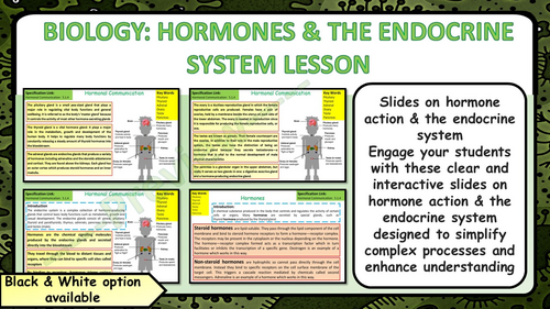 AQA GCSE Biology (Science) The Human Endocrine System Lesson | Teaching ...