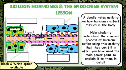 AQA GCSE Biology (Science) The Human Endocrine System Lesson | Teaching ...