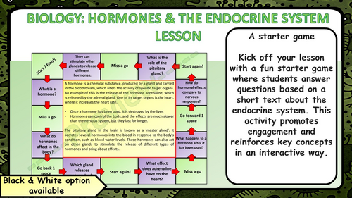 AQA GCSE Biology (Science) The Human Endocrine System Lesson | Teaching ...