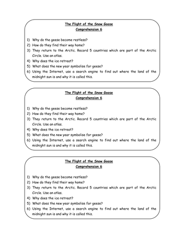 Flight of the Snow Goose Comprehension Questions | Teaching Resources