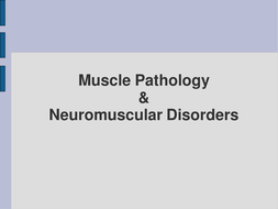 Muscle Pathology PowerPoint | Teaching Resources