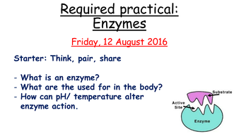 Enzymes required practical- New AQA GCSE Biology | Teaching Resources