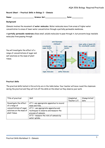 Osmosis required practical- New AQA GCSE Biology | Teaching Resources Osmosis required practical- New AQA GCSE Biology | Teaching Resources