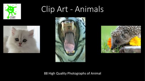 Clip Art - Animals | Teaching Resources