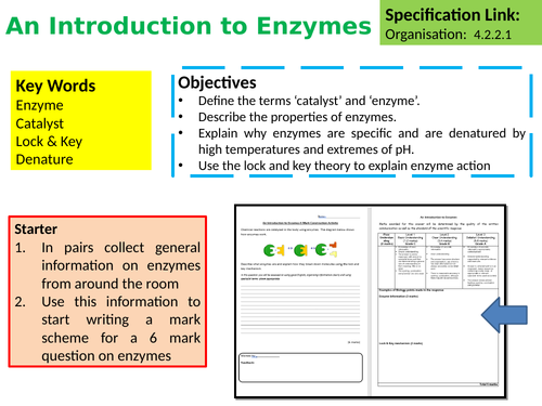 AQA GCSE Biology (Science) Introduction to Enzymes Lesson | Teaching ...