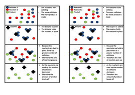 New AQA GCSE Biology Factors Affecting Enzymes Lesson | Teaching Resources