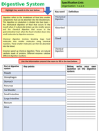 GCSE AQA Biology (Science) Digestive System Lesson | Teaching Resources
