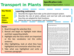KS4 AQA GCSE Biology (Science) Transport in Plants Lesson & Activities ...