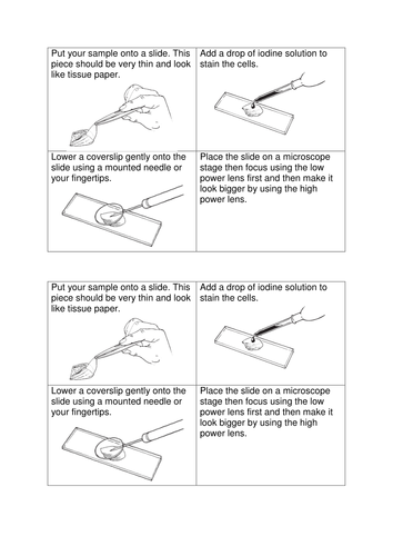 Pokemon Science - Cells Under a Microscope | Teaching Resources