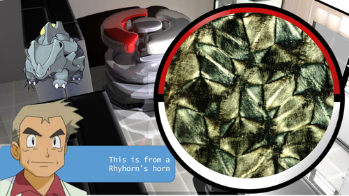 Pokemon Science - Cells Under a Microscope | Teaching Resources