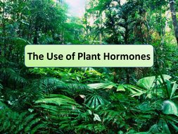 New AQA GCSE Biology Use of Plant Hormones Lesson | Teaching Resources