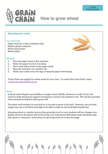 How do you grow wheat? Lesson plan | Teaching Resources