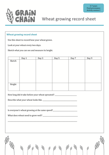 How do you grow wheat? Lesson plan | Teaching Resources