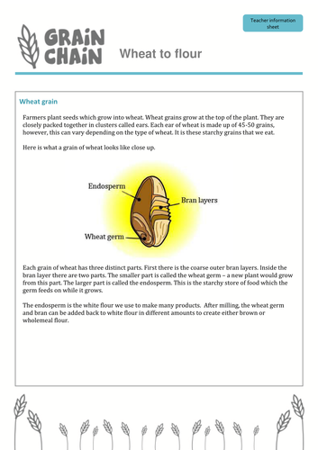 How do you grow wheat? Lesson plan | Teaching Resources