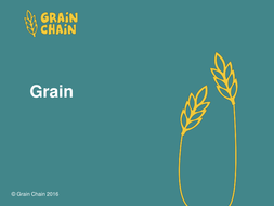 What are grains? Lesson plan | Teaching Resources