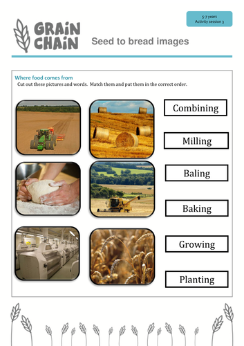 Where does bread come from? Lesson plan | Teaching Resources