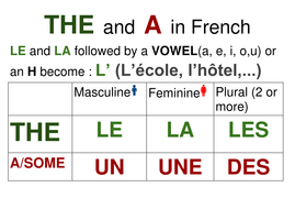 ARTICLES IN FRENCH | Teaching Resources