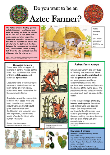 Do you want to be an Aztec farmer? | Teaching Resources