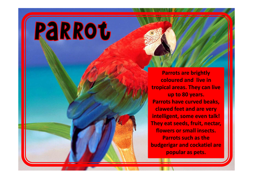 PIRATES TEACHING RESOURCES ROLE PLAY DISPLAY KEY STAGE 1 -2 EARLY YEARS ...