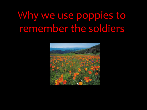 Why do we wear poppies? | Teaching Resources