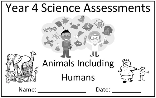 Year 4 Science Assessment: Animals, Including Humans by mrajlong - UK ...