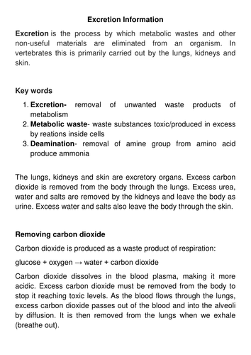 New OCR A Level Biology the Liver, Homeostasis & Excretion Lesson ...