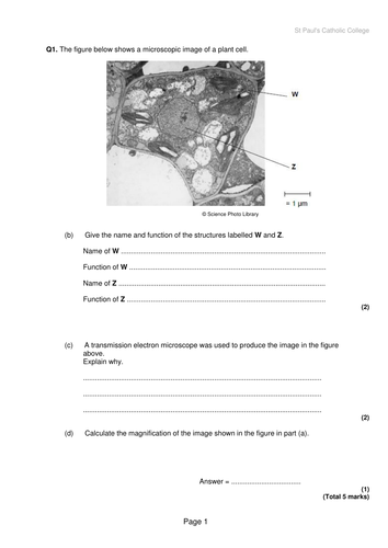 New AQA (2016) Year 1 Biology (AS) - Microscopes - Flipped Learning ...