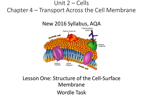 New AQA (2016) Year 1 Biology (AS) - Structure of the Cell Surface ...