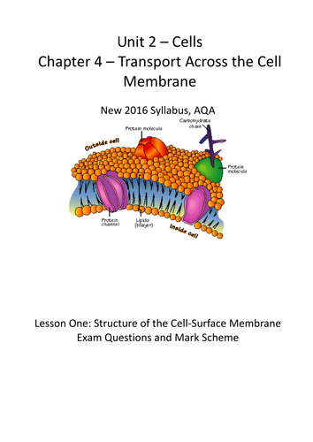 New AQA (2016) Year 1 Biology (AS) - Structure of the Cell Surface ...