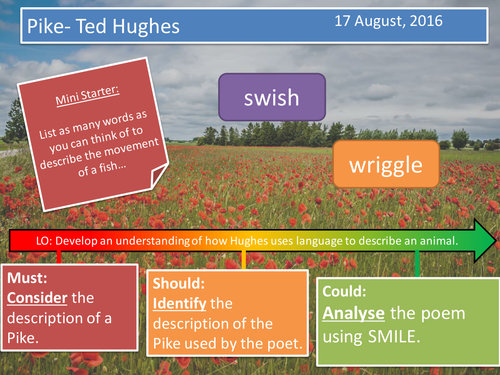Pike- Ted Hughes by F-J-O - Teaching Resources - TES