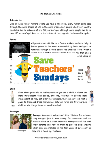 Human Life Cycle KS2 Lesson Plan, Explanation Text and Worksheet by ...