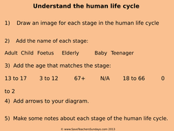 Human Life Cycle KS2 Lesson Plan, Explanation Text and Worksheet ...