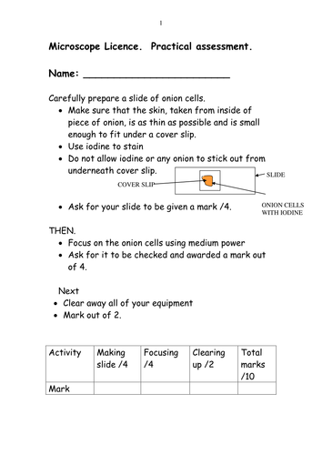 Making Onion Cell Slides Practical Assessment by jayto - Teaching ...