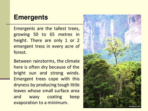NEW AQA GCSE GEOGRAPHY - The Living World Lesson 3: Introduction To The ...