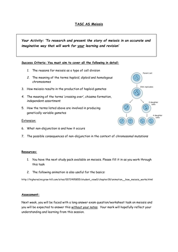Meiosis Research and Long Response Question Task | Teaching Resources