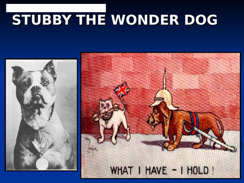 Stubby the Dog Bundle | Teaching Resources