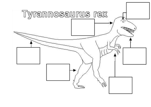 Year 2 literacy plan based around the tyrannosaurus rex | Teaching ...