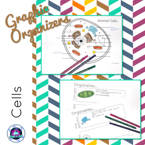 Cells Graphic Organizer | Teaching Resources