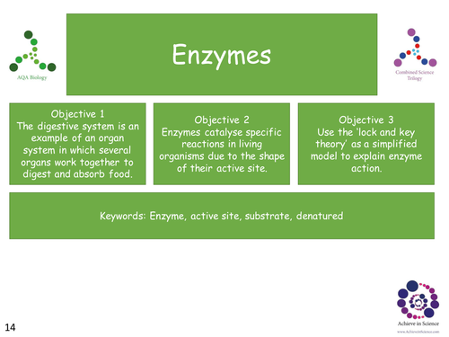 NEW Lesson 14 Enzymes Biology Combined Science Trilogy (AQA) – Paper 1 ...