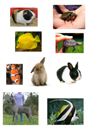 About me - me, my family, my pets, my school | Teaching Resources