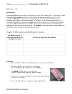 Onion and Cheek Cell Lab Experiment - Organelles | Teaching Resources