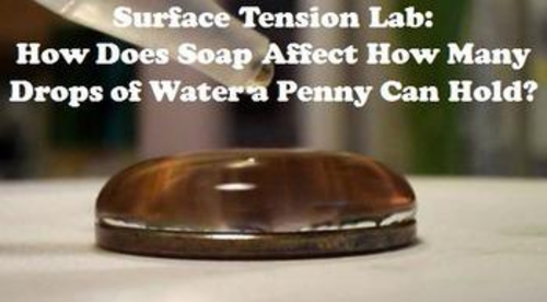 Scientific Method Lab Experiment/ Surface Tension Lab Experiment ...