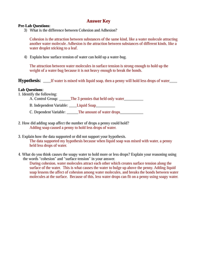 Scientific Method Lab Experiment/ Surface Tension Lab Experiment ...