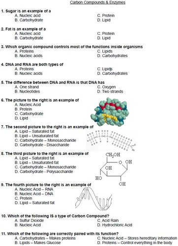 Biology | Teaching Resources