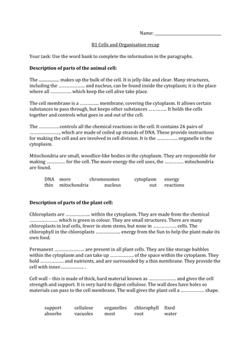 B1 Cell Structure and Transport recap/revision for GCSE biologists ...