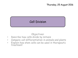 B2 Cell Division recap/revision GCSE biology | Teaching Resources
