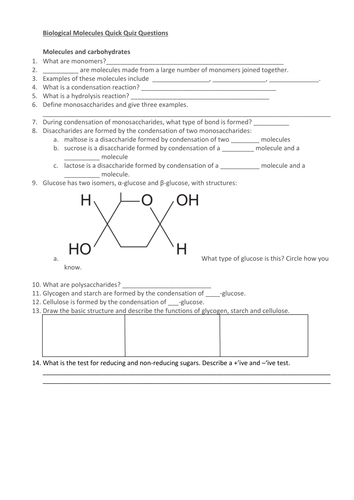 AQA AS Biological Molecules Quiz | Teaching Resources