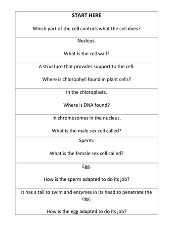 GCSE Biology Cells - Dominoes Card Sort | Teaching Resources