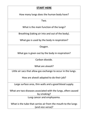 Lungs - Dominoes Card Sort | Teaching Resources